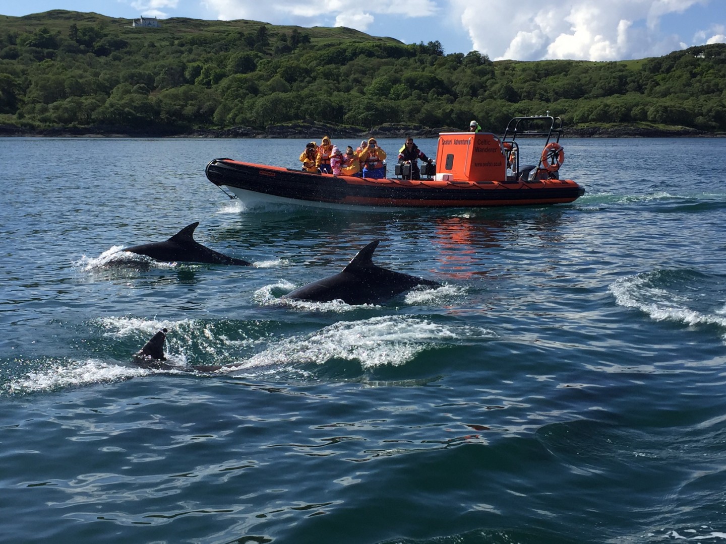 Corryvreckan Wildlife Tour | VisitScotland