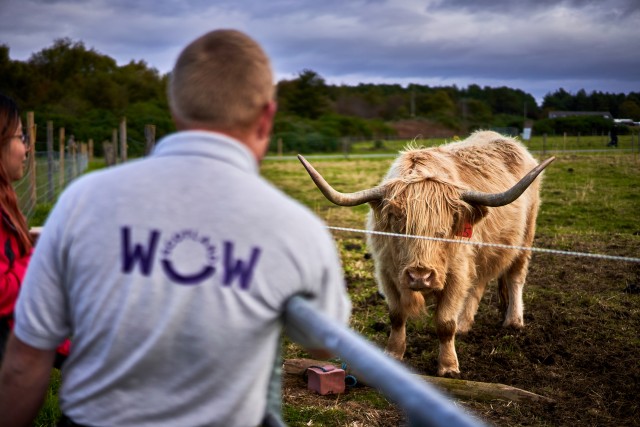 Classic Highland Tour from Invergordon | VisitScotland