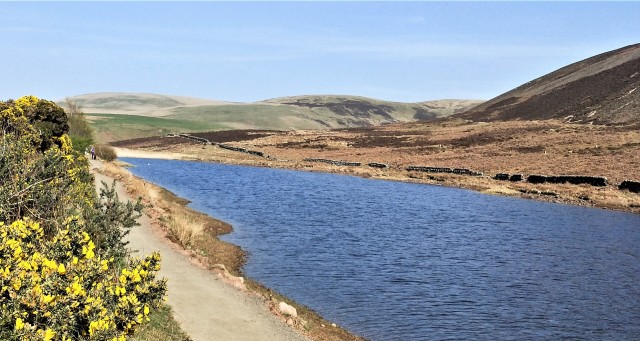 Hill & Nature Hike - Discover Real Edinburgh With a Local Expert ...