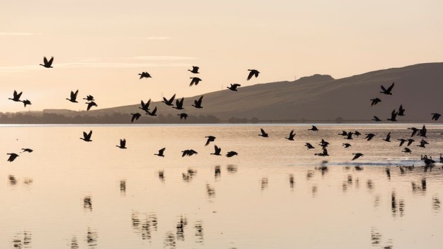 2-Day Loch Ness & Highland Explorer | VisitScotland