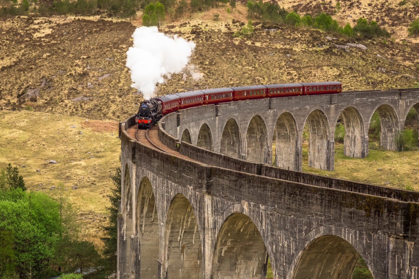 1 Day Jacobite Steam Train & Scottish Highlands | VisitScotland