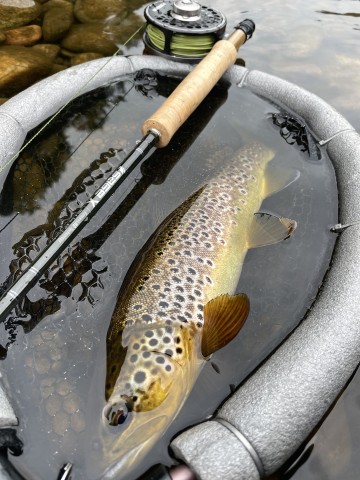 River Fishing for trout in Scotland | VisitScotland