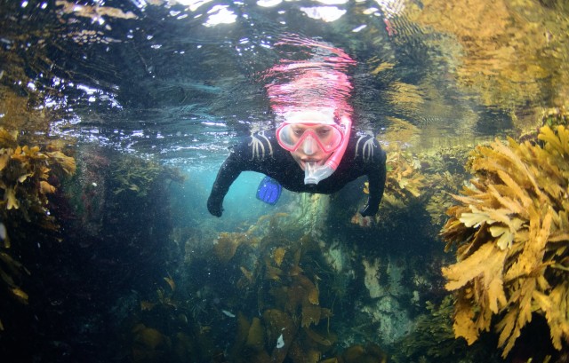 Experience Snorkelling | VisitScotland