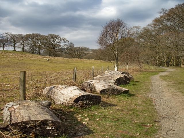 Luss History Tour | VisitScotland