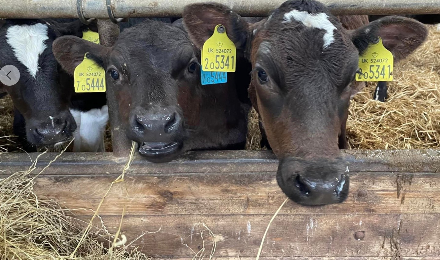 Orkney Farm Tours | VisitScotland